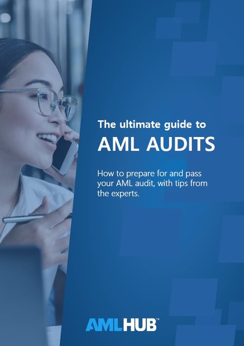 Download AML/CFT Audit Guide | AMLHUB